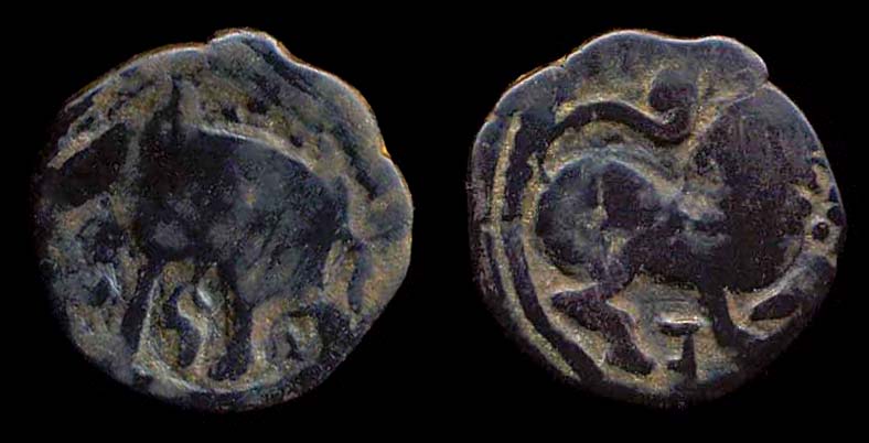 Bull & horseman coins